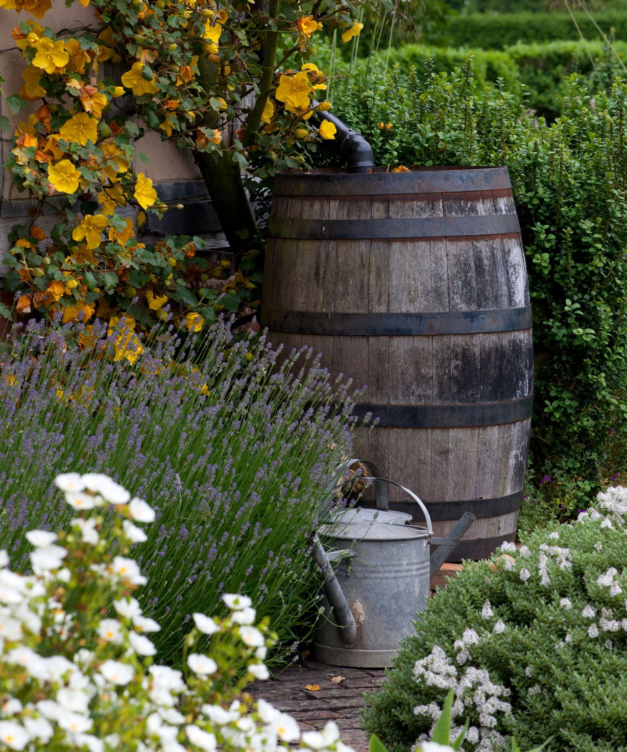 Sustainable garden ideas: 28 ways to an eco-friendly garden | Homes and ...