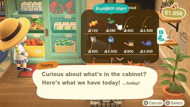 Animal Crossing: New Horizons pumpkin guide: How to grow them, and all ...