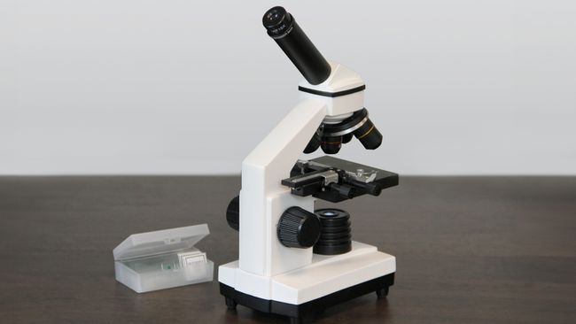 The best microscopes | Digital Camera World