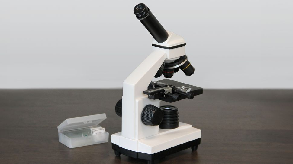 The best microscopes | Digital Camera World