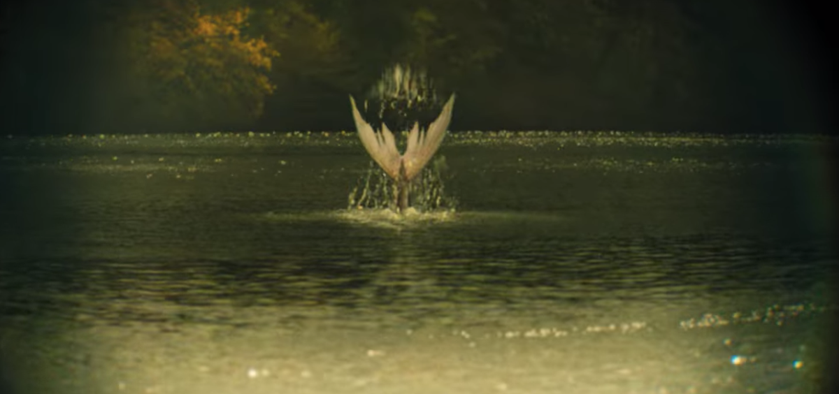 What are Sirens in Wednesday? Which characters are Sirens? | What to Watch