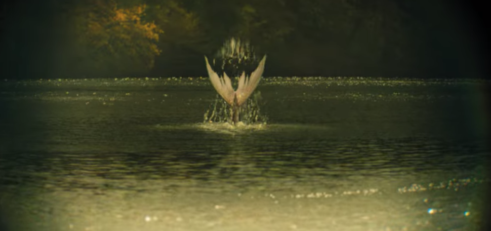 What are Sirens in Wednesday? Which characters are Sirens? | What to Watch