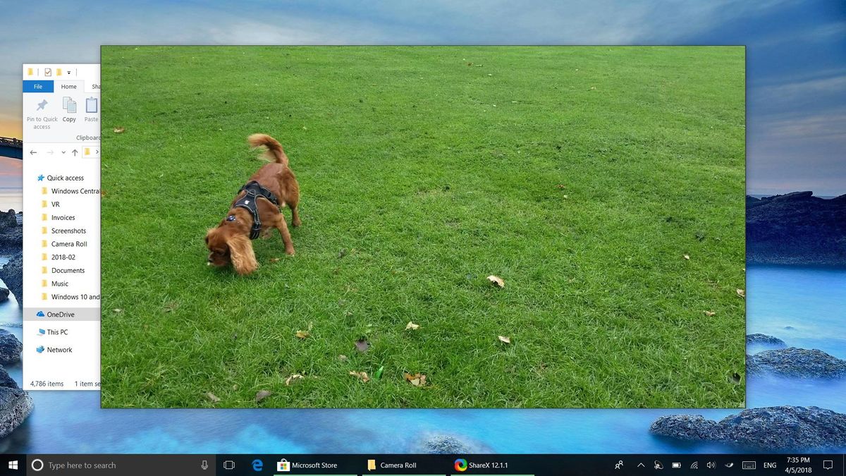 Seer vs. Quicklook: Who wears the crown for best Windows 10 file ...