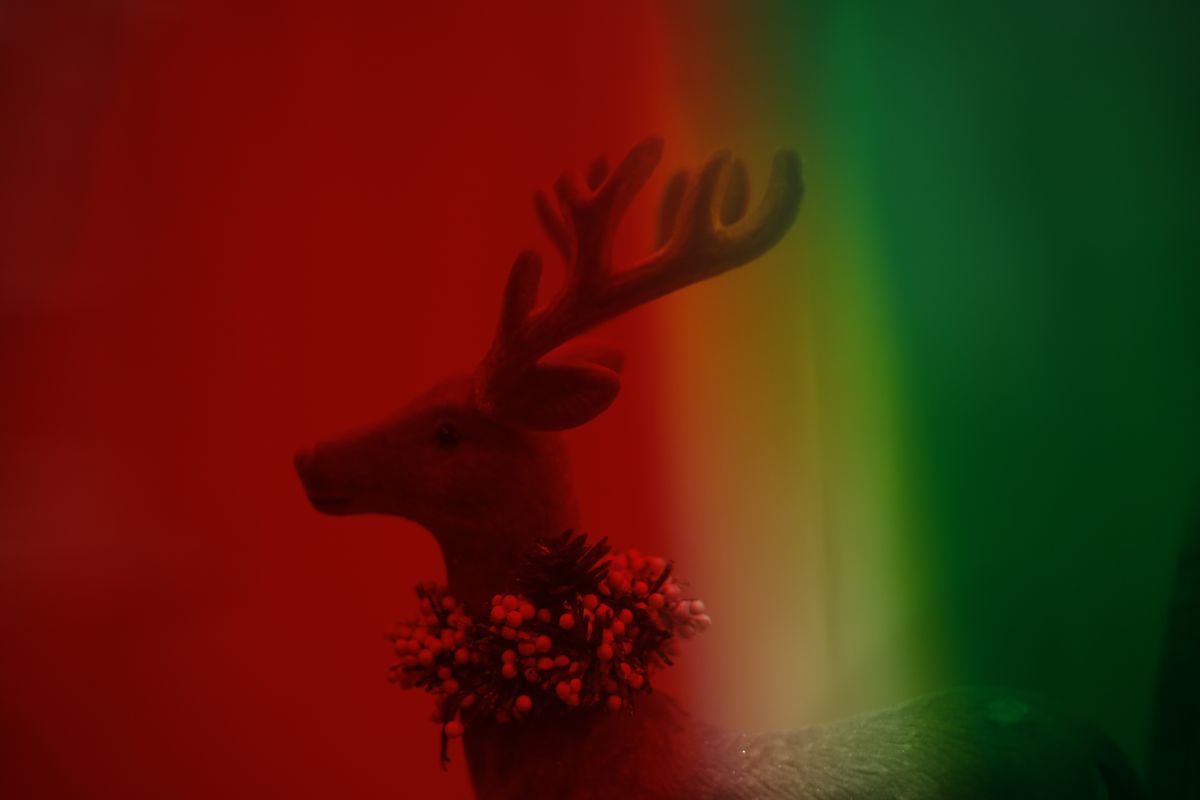 How to create a DIY Christmas photo studio setup from home | Digital ...