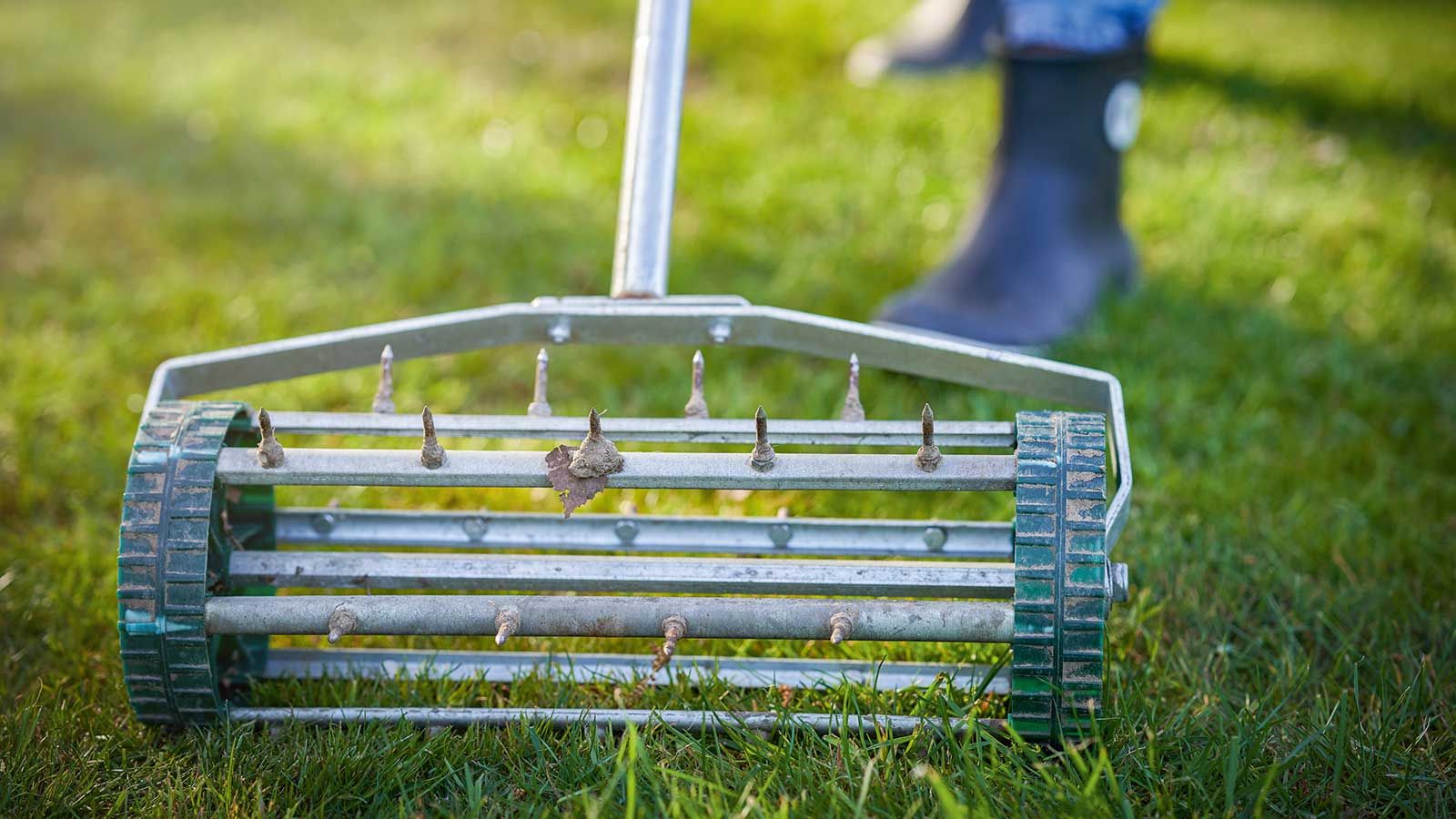 How to aerate a lawn – an expert step-by-step guide | Homebuilding
