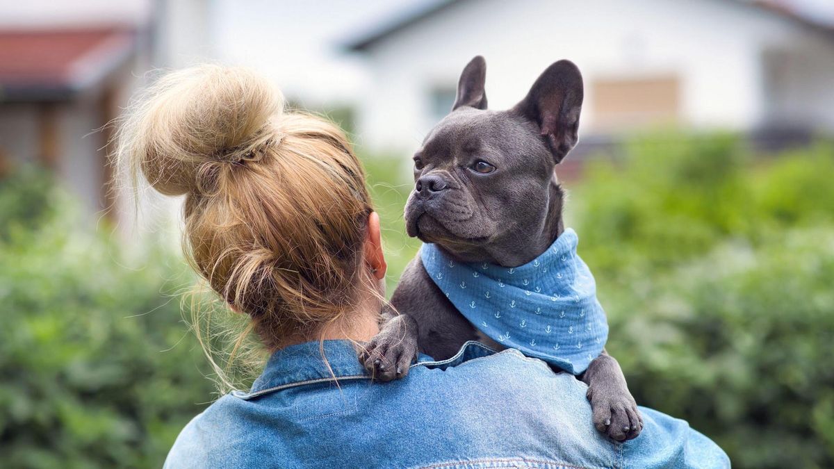 20 most loyal dog breeds revealed | PetsRadar