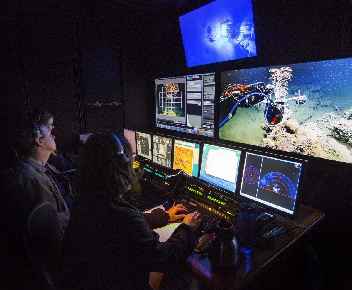 Go to Sea with Astrobiologists Visiting Hawaii to Learn How to Look for ...