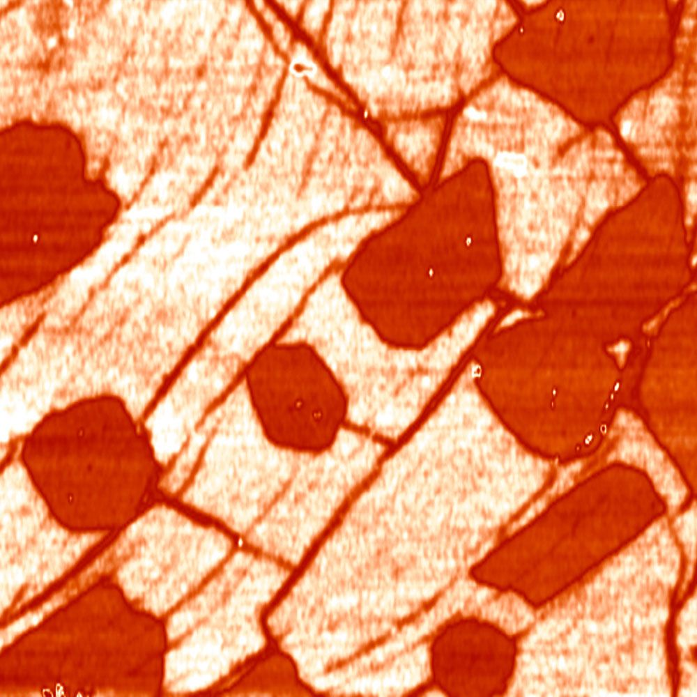 The Beauty of Science: A Gallery | Live Science