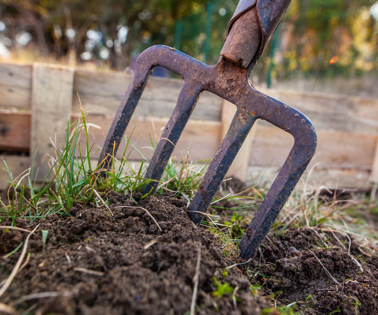 Gardening Tools Every Home Grower Needs – Our Top 10 Picks | Gardening ...