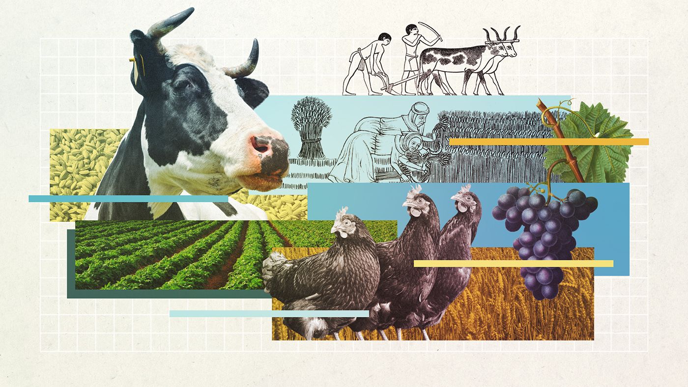 Agriculture explained in 60 seconds: ideas that changed the world | The ...