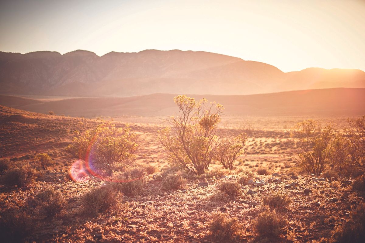 Learn to work with wide apertures for better results | Digital Camera World