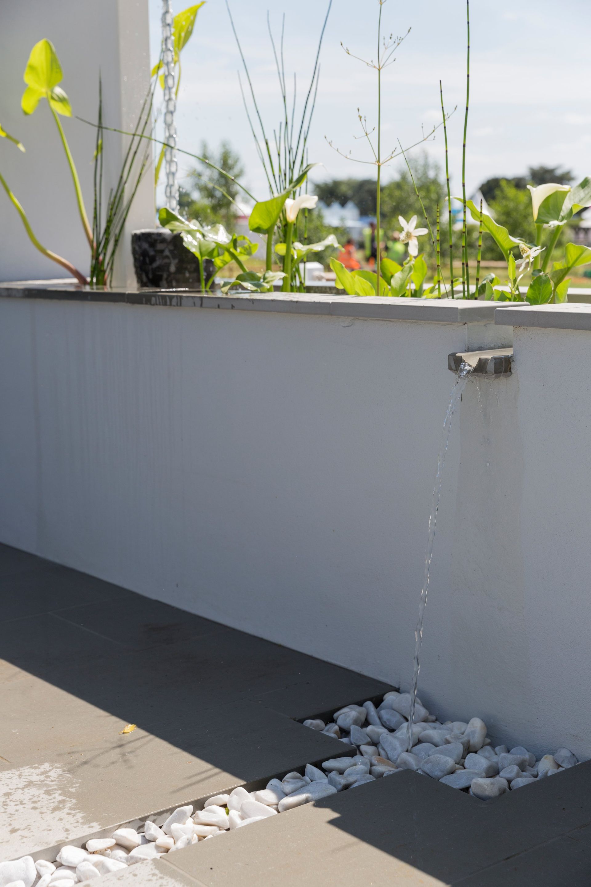 Rain gardens: 10 stunning ideas and designs that soak up rain run-off ...