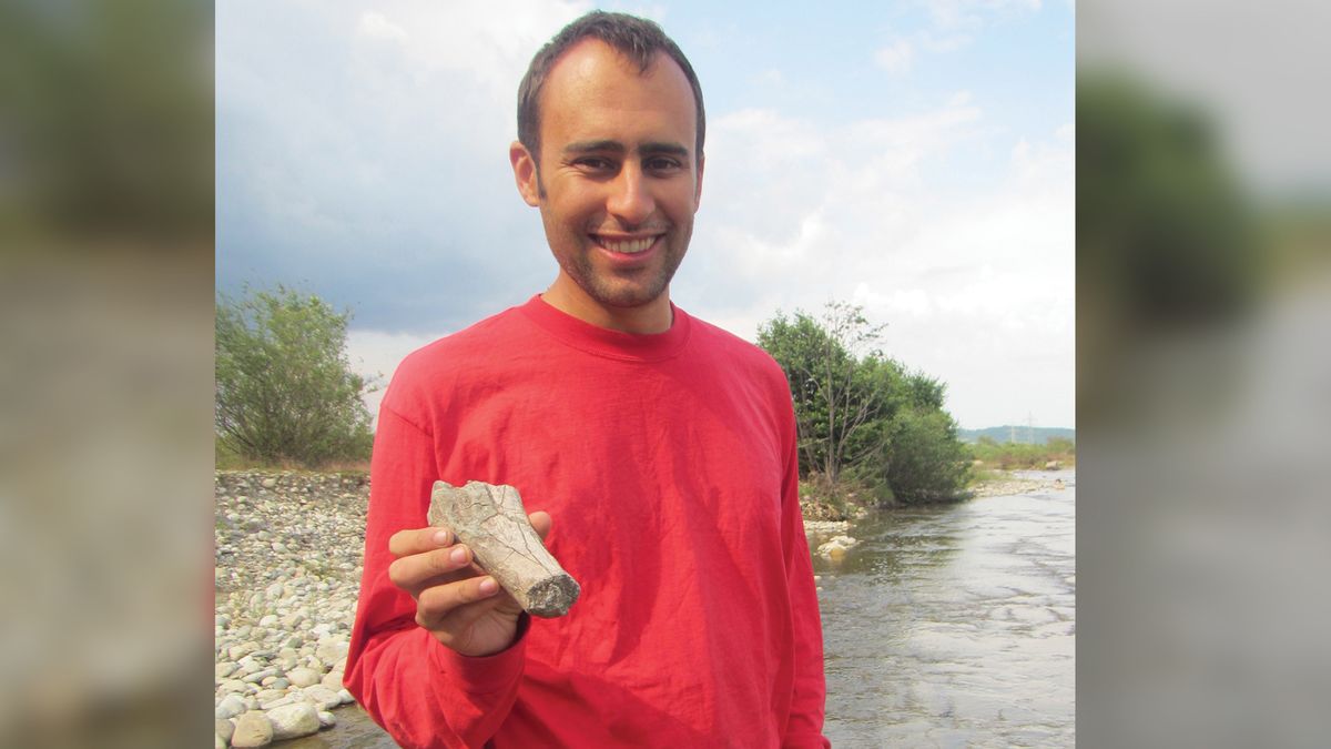 How little, furry mammals that scurried under dinosaurs' feet came to ...