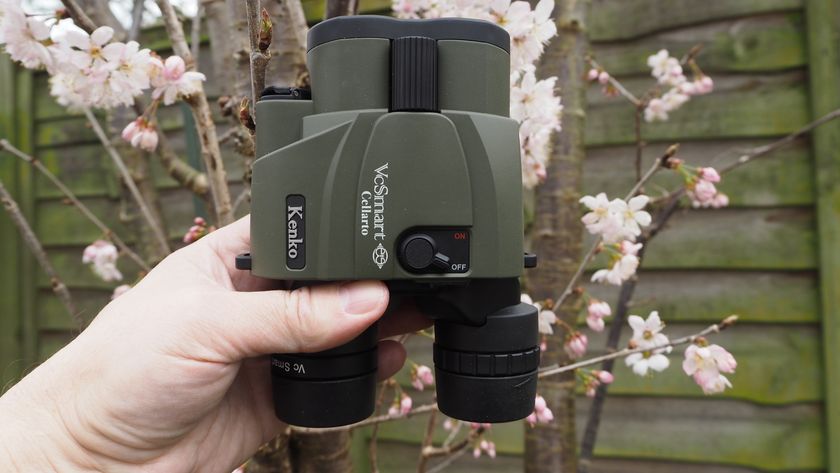 Best binoculars 2025: Our picks for stargazing, bird watching and ...