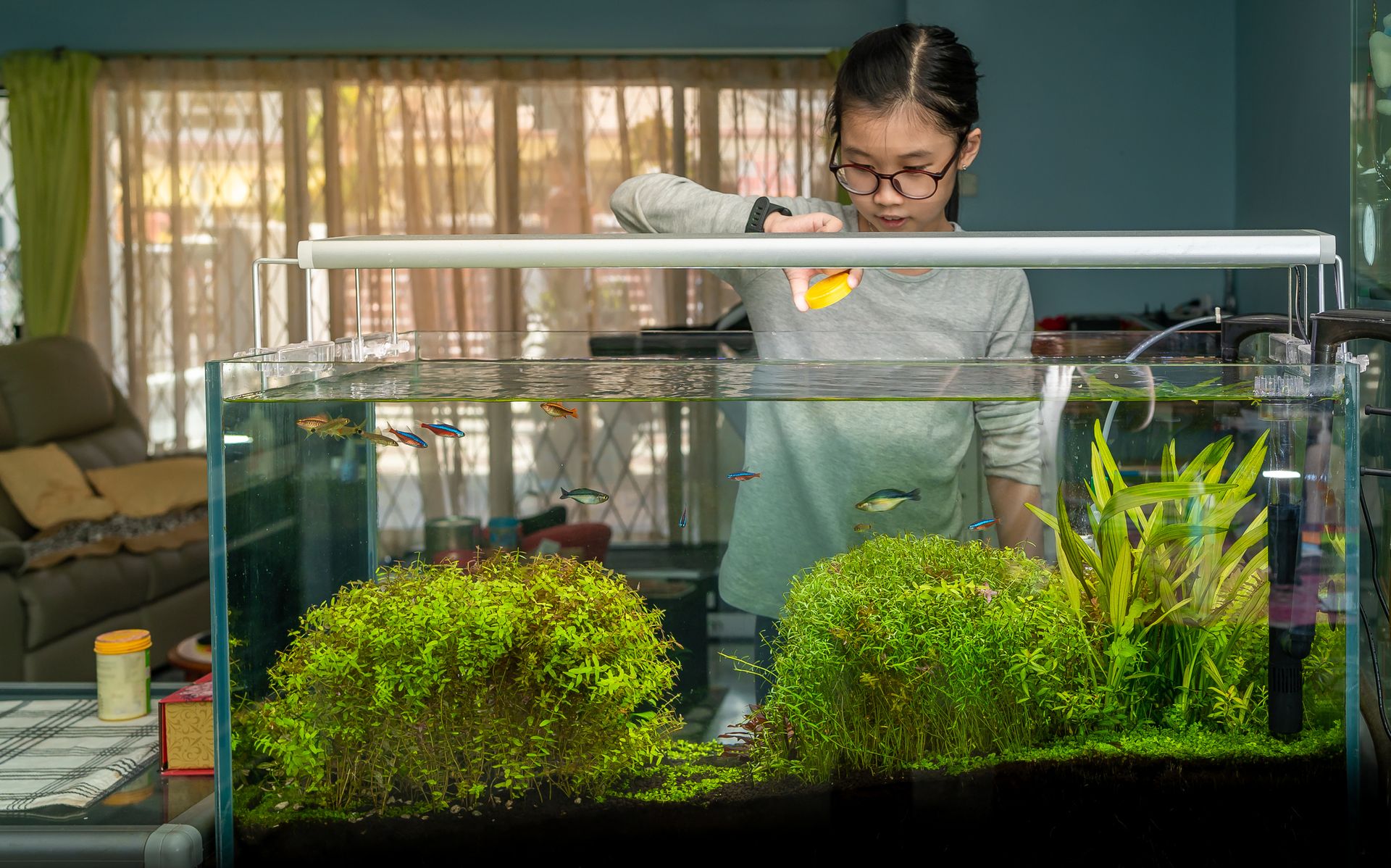 Choose the best fish tank for happy, healthy, aquatic pets | PetsRadar