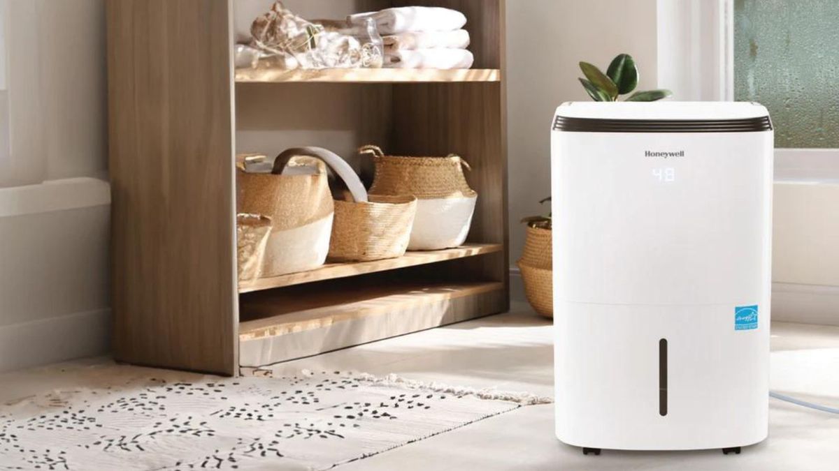 Sitemapcdatahttpsomobeldreferenzcomdo You Need A Dehumidifier In The Winter
