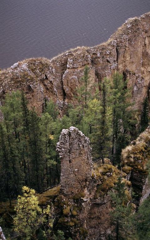 Images: Russian National Parks | Live Science
