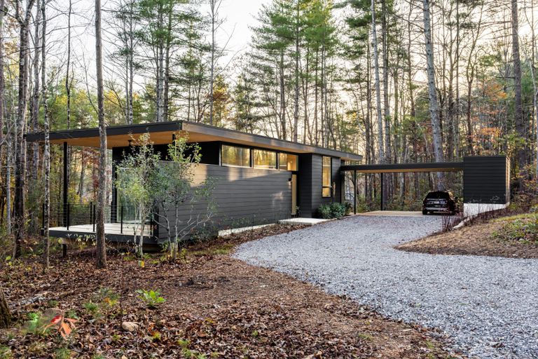 Tour Cabin House, a modernist retreat in North Carolina | Wallpaper*
