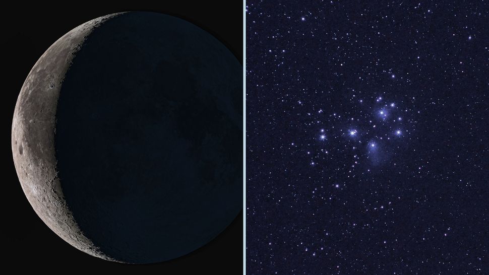 Anty xxx sex newcomer, was able to book a spot and