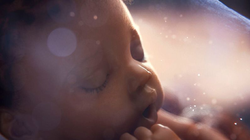 Review: Redshift | Creative Bloq