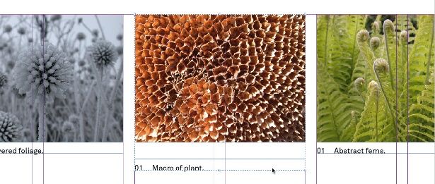 Using Live Captions in InDesign CS5 | Creative Bloq