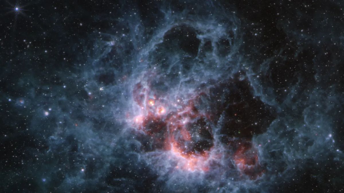 Space photo of the week: James Webb telescope snaps stunning 'tapestry of star birth' peppered ...
