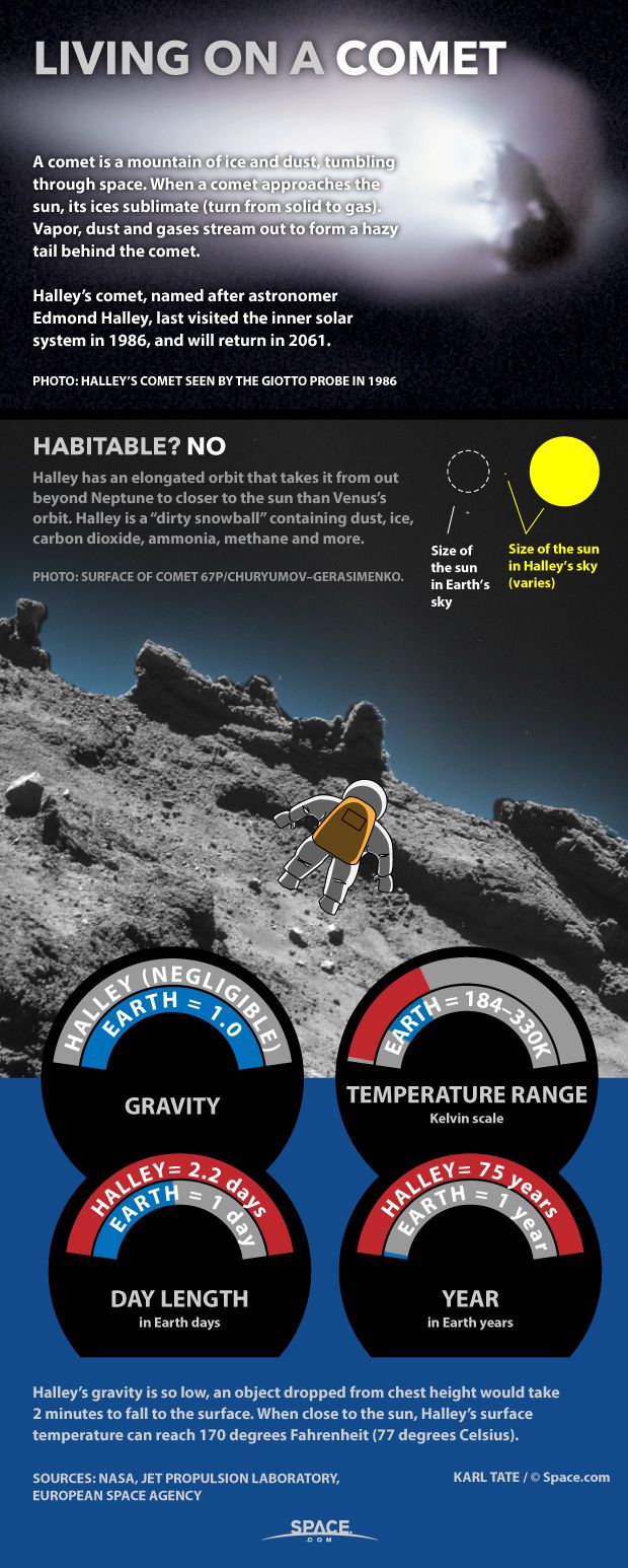 Living on a Comet: 'Dirty Snowball' Facts Explained (Infographic) | Space