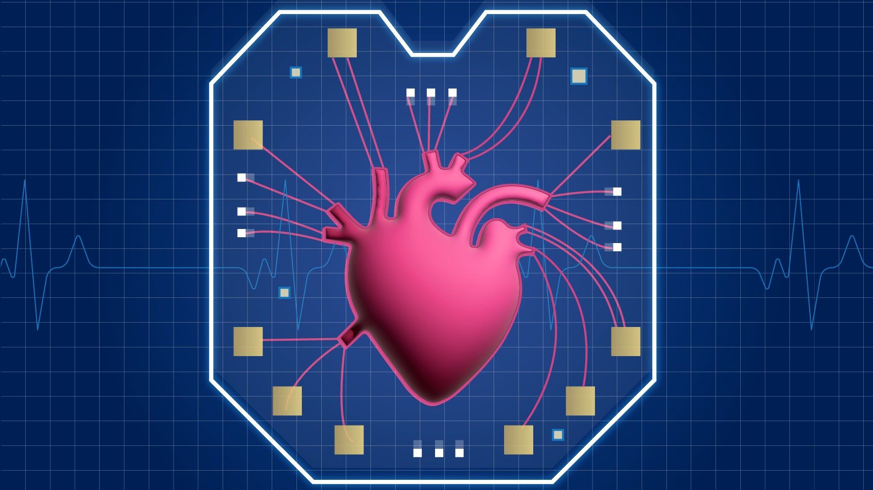 Scientists developing new 'heart-on-a-chip' | Live Science