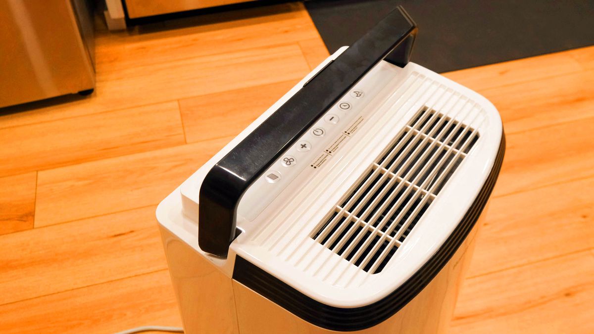 Honeywell 50 Pint Dehumidifier review | Tom's Guide