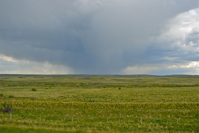 Tallgrass Prairie Ecosystem Images | North American Prairies | Live Science