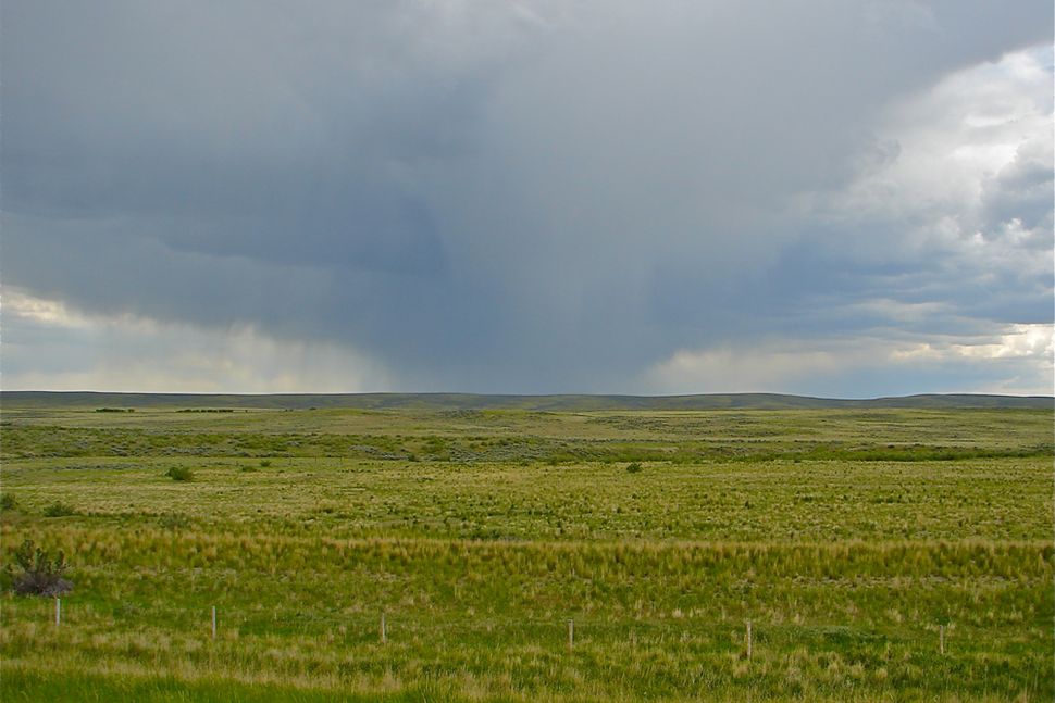 Tallgrass Prairie Ecosystem Images | North American Prairies | Live Science