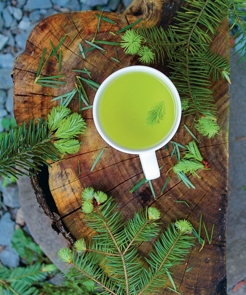 How to make your own tea –Brew tea from homegrown ingredients | Homes ...