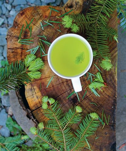 How to make your own tea –Brew tea from homegrown ingredients | Homes ...