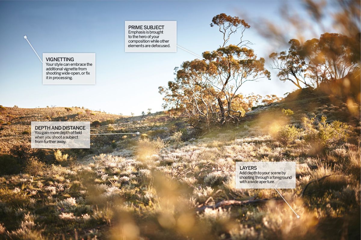 Learn to work with wide apertures for better results | Digital Camera World