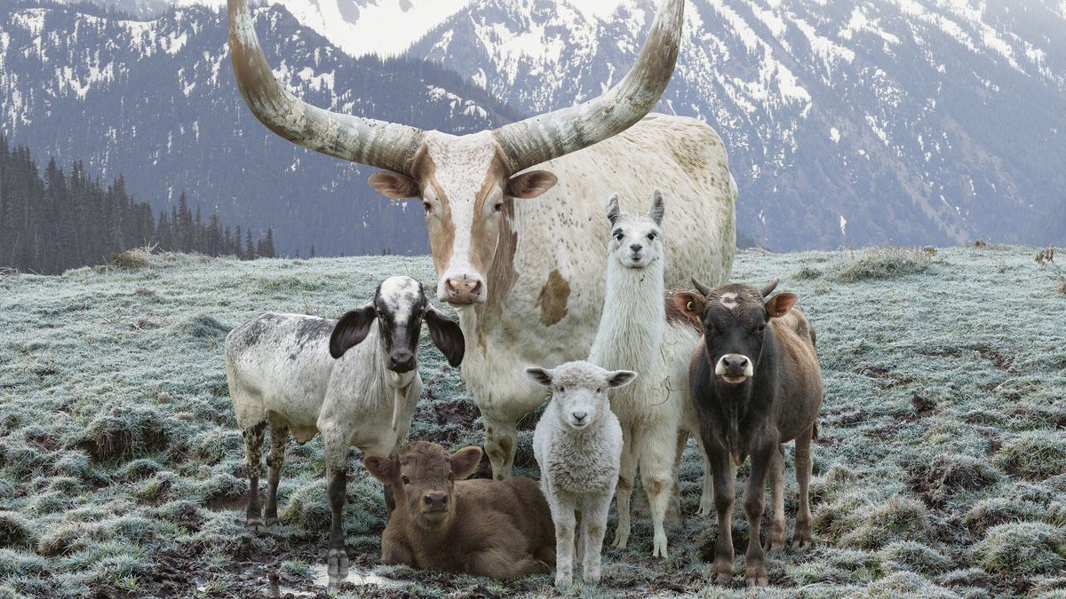 The Australian Photographic Prize 2022 announces its inaugural winners ...