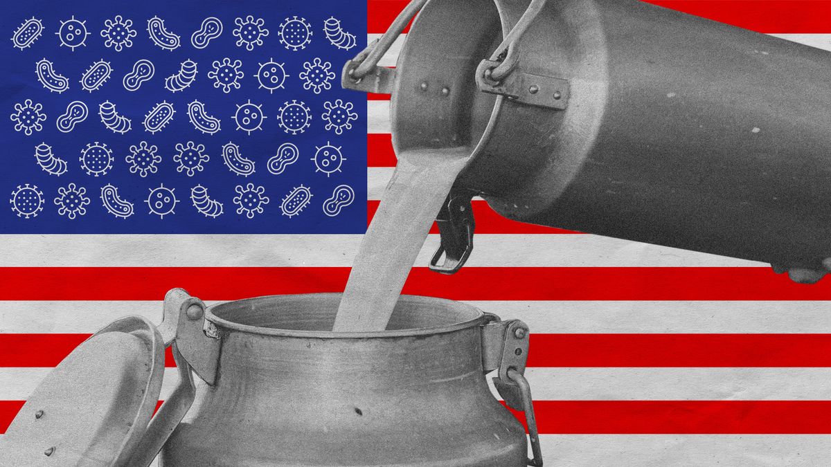 Unpasteurised milk and the American right | The Week