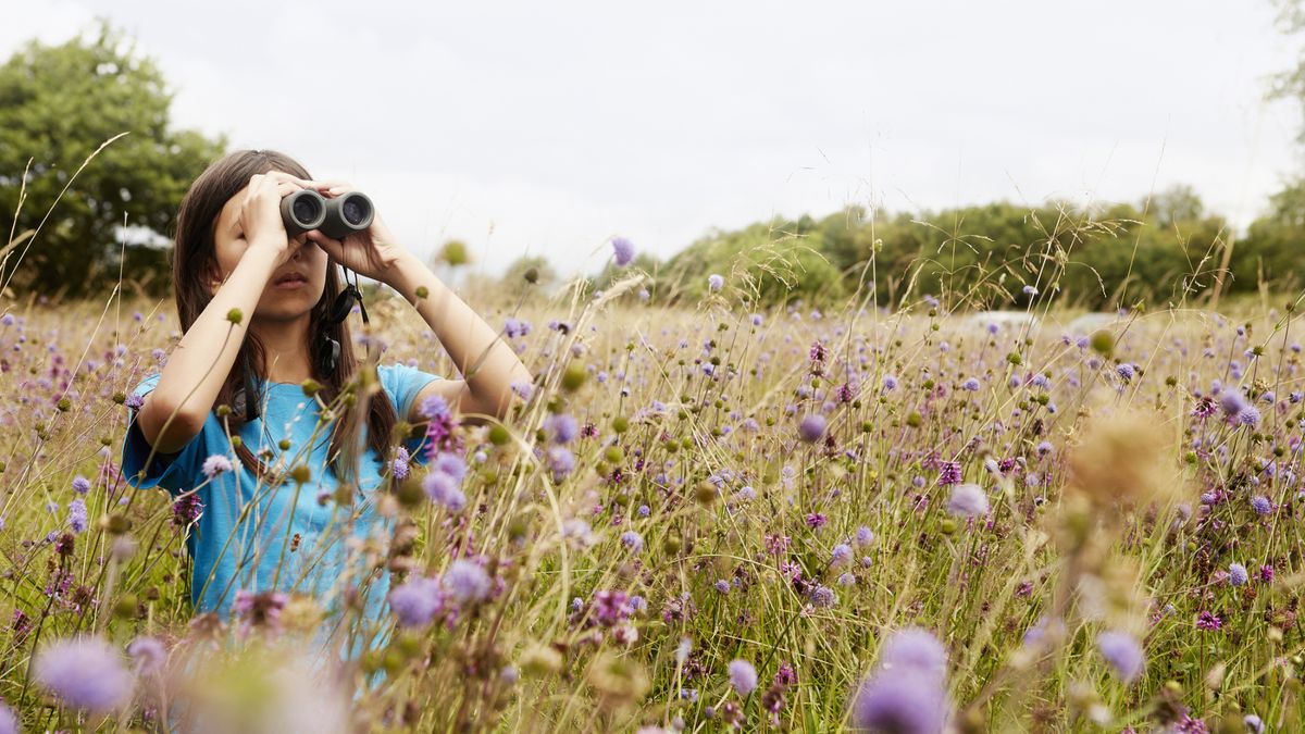 How to watch wildlife and appreciate the natural world | Advnture