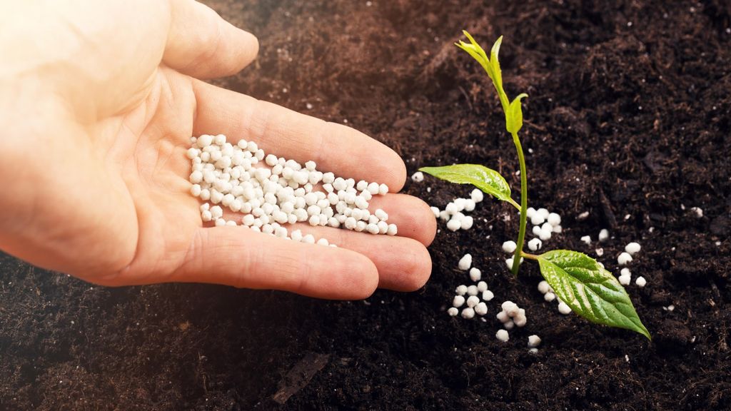 Plant fertilizer numbers: NPK ratios explained | Homes and Gardens