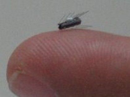 Bleeding billboards shock drivers into safer driving | TechRadar