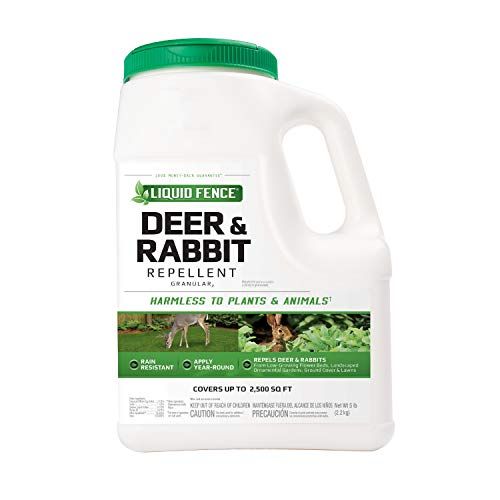 How to protect a lawn from rabbits: tips to repel the pests | Homes and ...