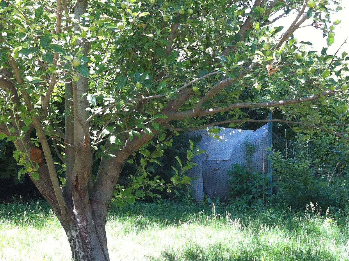 iPhone 4 features: Hands-on with 5 megapixel, front-facing, and 720p ...