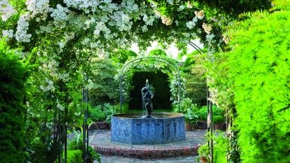 How to capture great garden scenes and flower shots | TechRadar