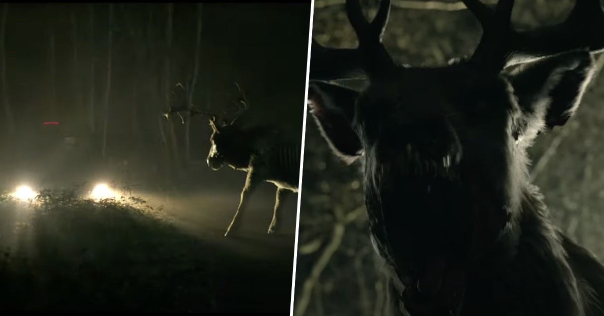 First teaser for new Bambi horror movie from Winnie the Pooh: Blood and ...
