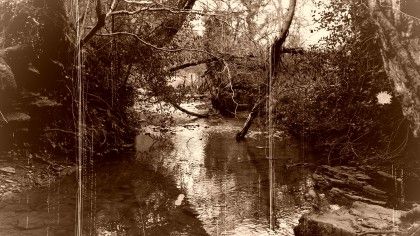 How to scan and digitize old photos | TechRadar