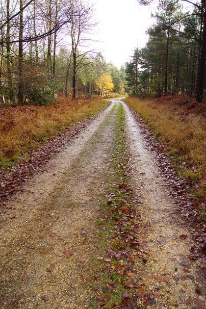 Sample Images - Sony Alpha a65 review - Page 6 | TechRadar