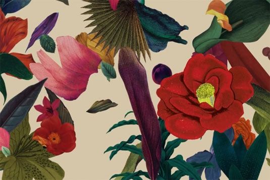 Album artwork of the week: Washed Out's Paracosm | Creative Bloq