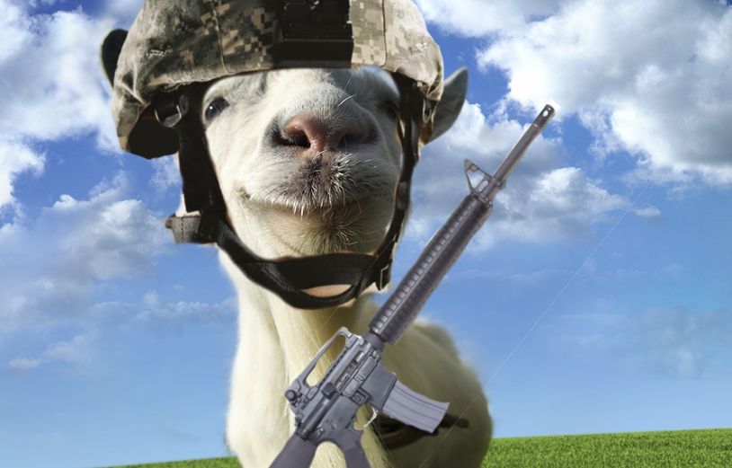 Why Paradox boss wants "more Goat Simulator, less Call of Duty" | PC Gamer
