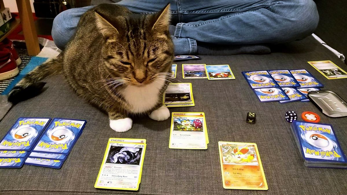 The pets of PC Gamer | PC Gamer