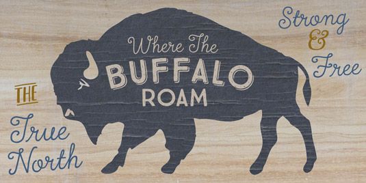 Font of the day: True North | Creative Bloq