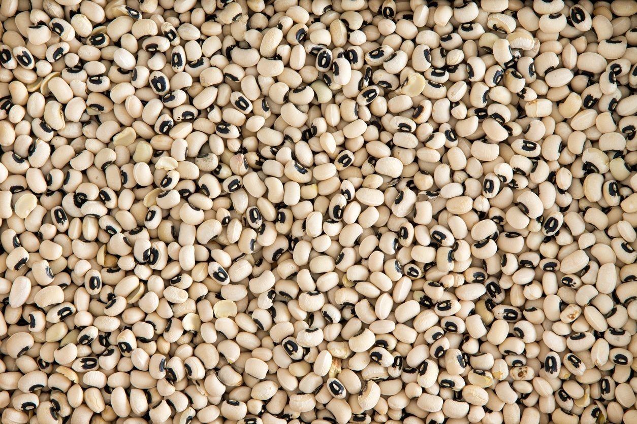 Field Pea Information - Learn About Different Field Pea Varieties ...
